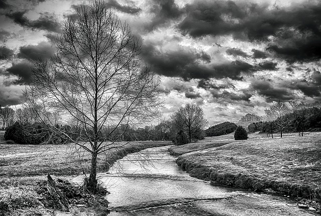 B&W Landscape Photography – Some Tips And Why You Need The Best Black ...